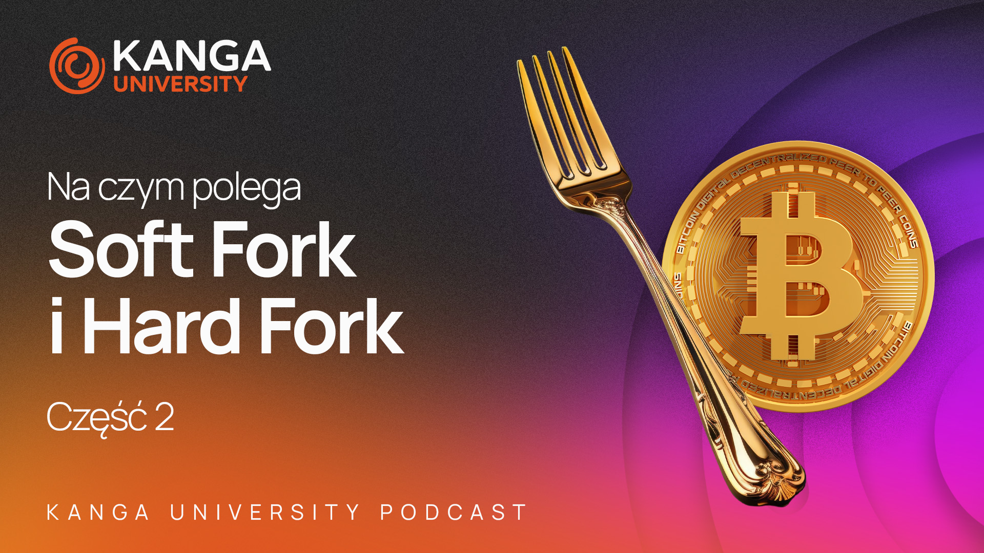 #19 | Na czym polega Soft Fork i Hard Fork | Część 2. - Kanga University