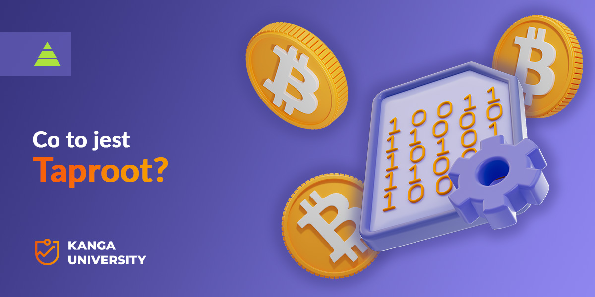 1. Co to jest Taproot? - Kanga University