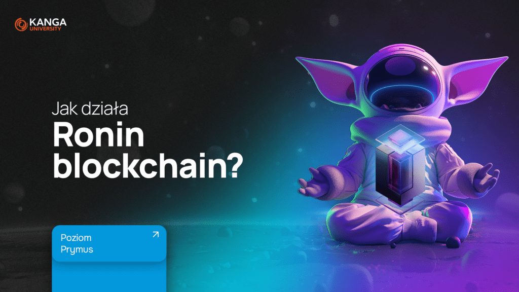 20. Jak działa Ronin Network? - Kanga University
