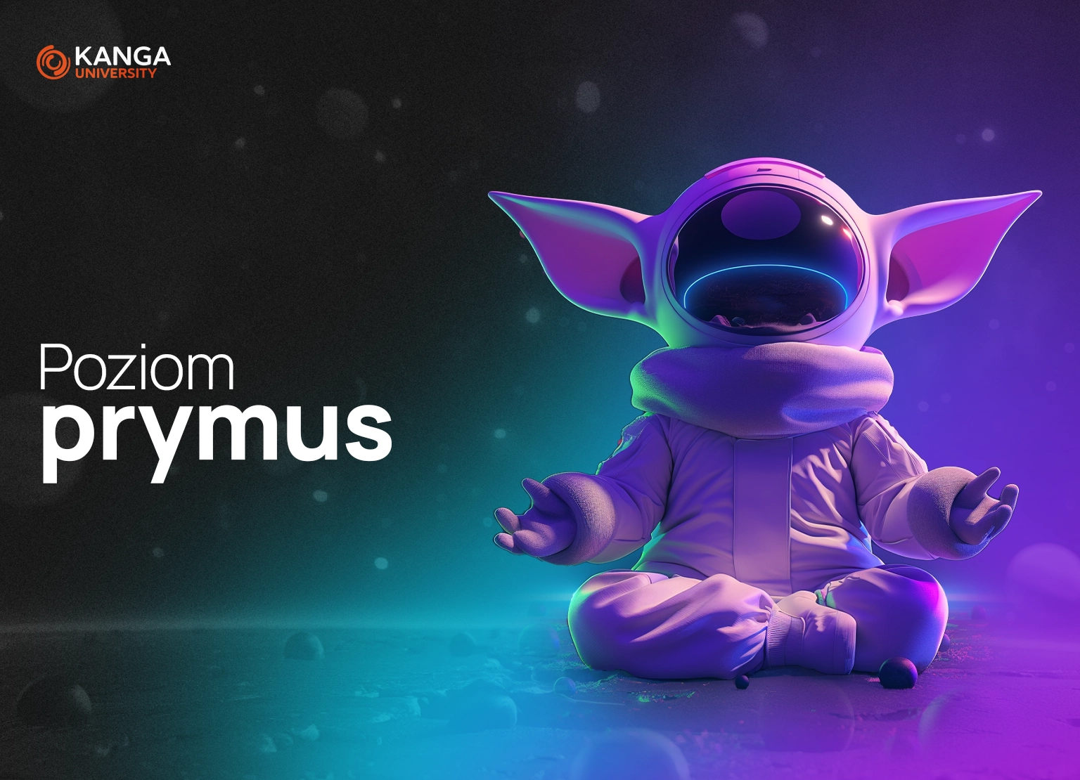 4. Poziom prymus - Kanga University
